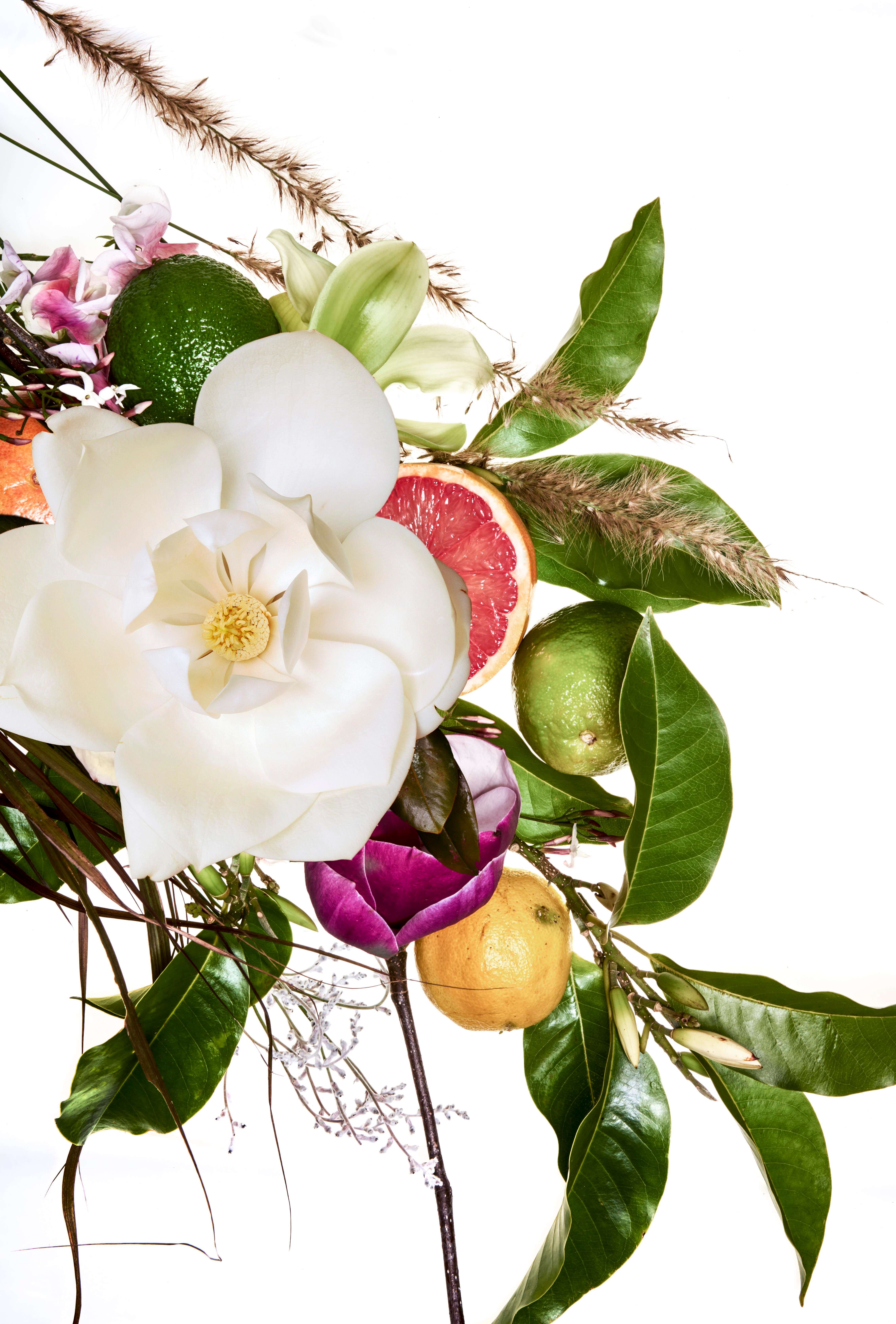 Flowers Eastern Suburbs Magnolia Michel Perfume - Grandiflora